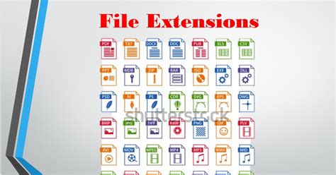 Csc Computer Training Center Windows File Extensions