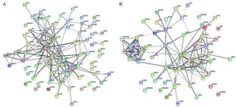 String Protein Protein Interaction Ppi Network A Ppi Network For
