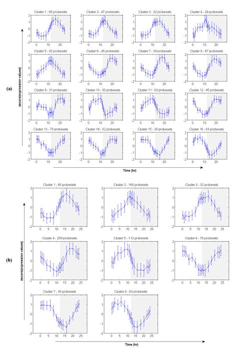 Selected Expression Patterns From The Circadian Dataset A Before