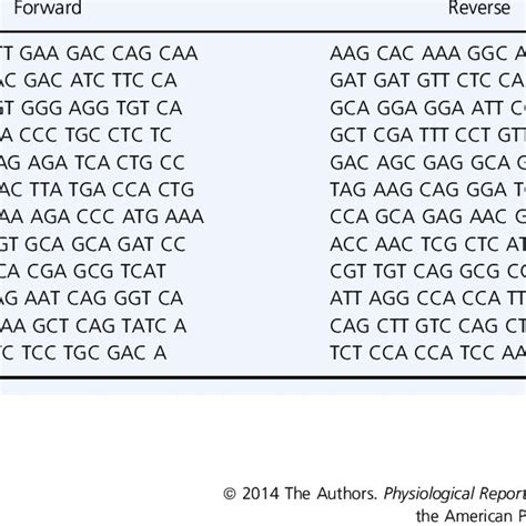 Gene Primers And Amplicon Size Download Table