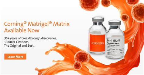 Elizabeth Abraham Ph D On Linkedin Corning® Matrigel® Matrix And
