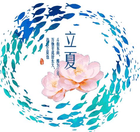 入夏节图片 气象学 蚊子 大山谷图库