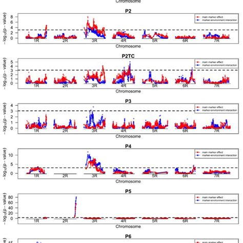 Basic Statistics For The Different Populations Columns And Stem Rust