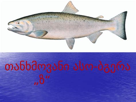 ასო ბგერა „ზ“ Calameo Downloader