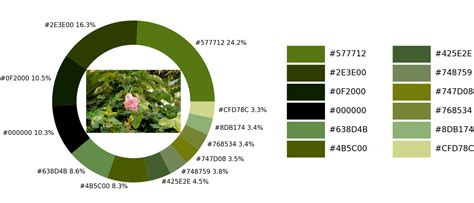 Image Color Extraction With Python In 4 Steps Towards Data Science