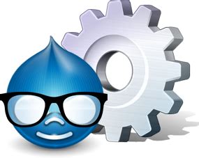 Drupal Development Drupal Development Services In USA