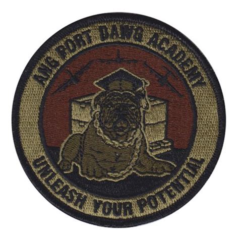 167 Lrs Port Dawg Academy Ocp Patch 167th Logistics Readiness