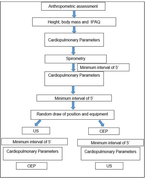 Flow Chart Of The Methodological Procedures Of The Study Download Scientific Diagram