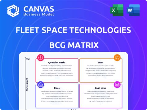 Fleet Space Technologies Bcg Matrix Analysis