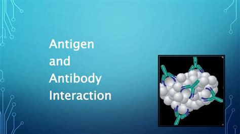 Antigen Antibody Interactions Ppt
