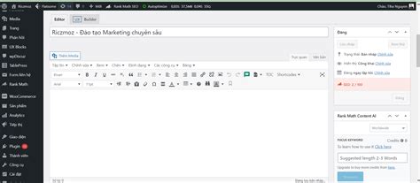 Cách Cài đặt Plugin Advanced Editor Tools Tiny Mce Chi Tiết Từ A Z Riczmoz