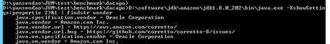 system getproperty java vm vendor return null · issue 1061