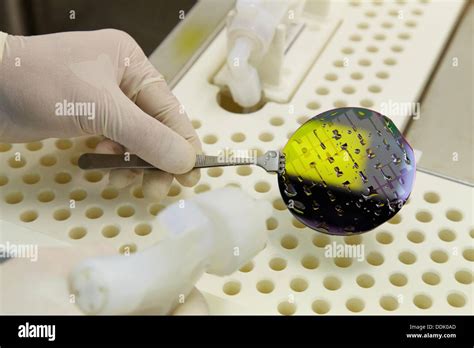 Silicon Wafer Curing Pdms Microfluidic Banque De Photographies Et Dimages à Haute Résolution