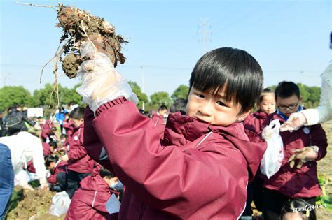乡村研学实践 感受美好秋天中国江苏网