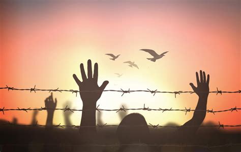 Gender Aspect Of Trafficking In Human Beings Workshop Workshops Events Femm Th