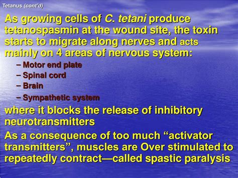 Ppt Tetanus Powerpoint Presentation Free Download Id 4505594