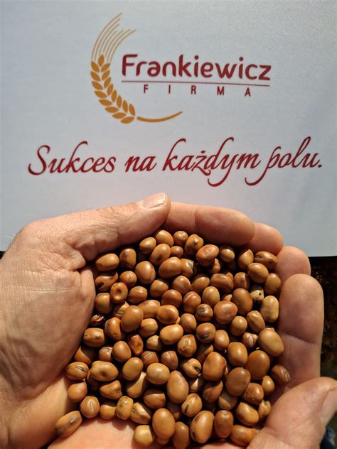 Eko Bobik Workowany Na Poplon 20 Kg Sklep Frankiewicz