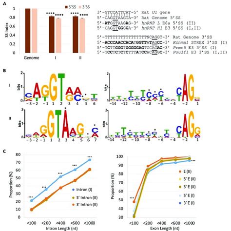 Differential Distribution Of Rna Seq Reads At The Intron Startend