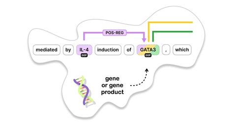 Implementing A Custom Trainable Component For Relation Extraction · Explosion