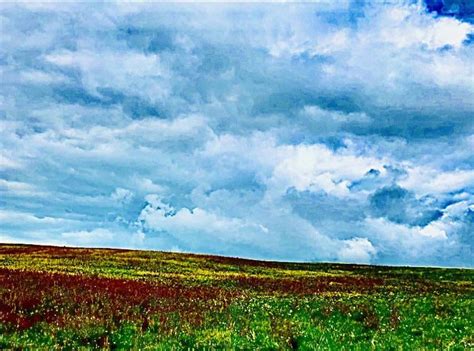 Liminal Field Ralfaoxtrot