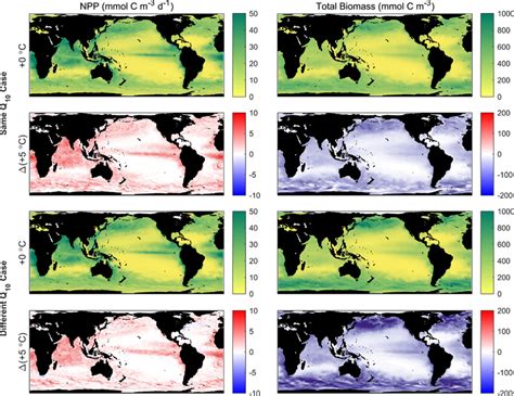 Annual Mean Depth‐integrated Net Primary Productivity Npp Left Download Scientific Diagram