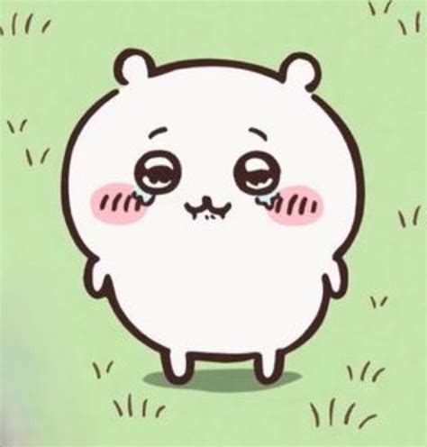 51개의 치이카와 짤 아이디어 2025 나가노 귀여운 그림 웃긴 밈