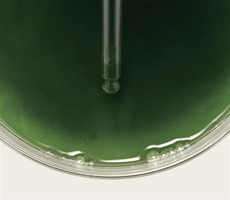 Why Third Party Testing And Certifications Matter In Supplements Ag1