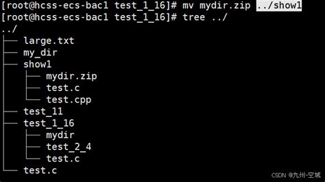 Linux中系统相关指令linux时间戳 Csdn博客