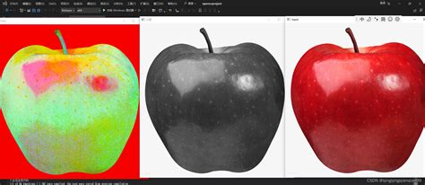 Open Cv与copen Cv C Csdn博客 Open Cv与copen Cv C Csdn博客