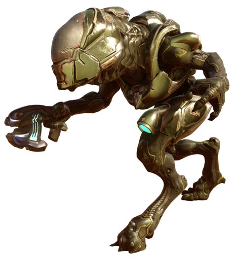 Kig Yar Ranger Halopedia The Halo Wiki