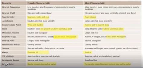 New Skeletal Lecture Flashcards Quizlet