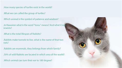 Really Hard Trivia Questions With Answers [100 Questions List]