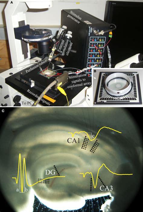 A Photo Of The Electrophysiological Recording System A The Mea60 Download Scientific Diagram