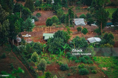 케냐의 단순한 시골 농가의 전망 아프리카에서의 단순하고 가난한 삶 겸손한 집과 농지 케냐에 대한 스톡 사진 및 기타 이미지