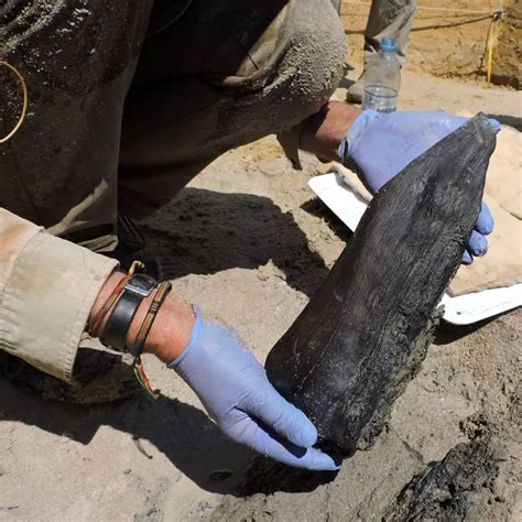 Worlds Oldest Man Made Structures