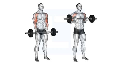 Cheat Curl Guide Benefits And Form