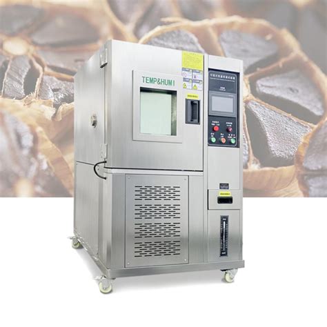 Black Garlic Fermentation Processing Machine Gondor Machinery