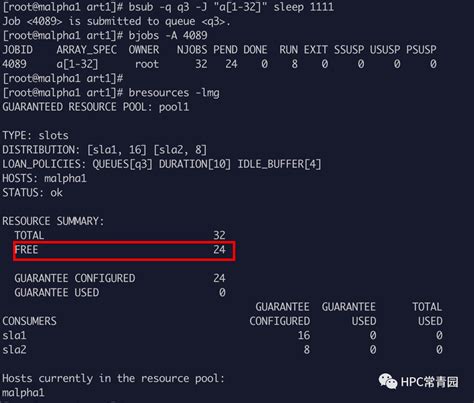 Lsf实践专题（30）：在lsf集群通过guaranteed Sla进行资源定向规划lsf 101014 Spk Csdn博客