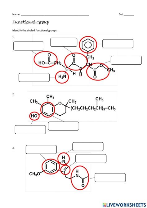 Organic Chemistry Interactive Worksheet Live Worksheets Worksheets Library