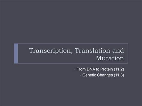 08 Transcription Translation And Mutation Pptx Programming