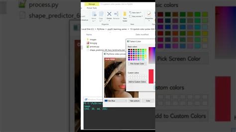 Lipstick Color Selection Tool In PyQt QuadExcel