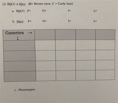Solved 12 BbCC X Bbcc B Brown Eyes C Curly Hair A Chegg Com