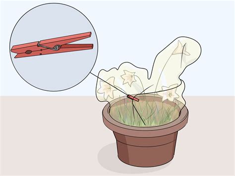 4 Ways To Use Horticultural Fleece WikiHow