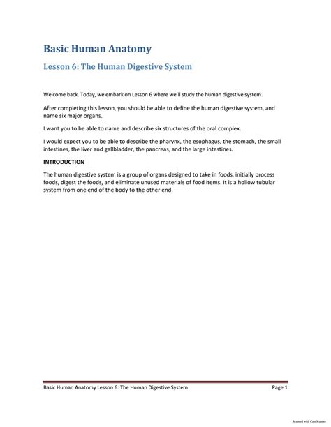 SOLUTION Anatomy Lecture The Human Digestive System Notes Studypool
