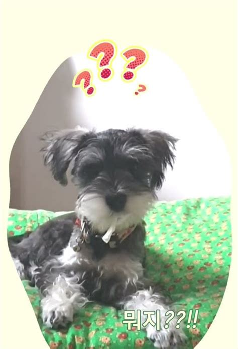 껍 좀 씹자 Youtube