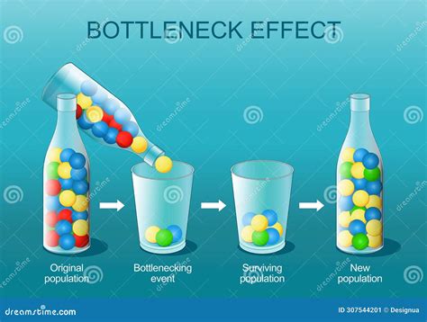 Bottleneck Effect Natural Selection Stock Vector Illustration Of Flat Effect 307544201