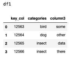 Python How To Map Categorical Columns From Two Dataframes Stack Overflow