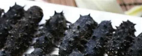 海茄子的功效与作用 海茄子的功效与作用介绍 知秀网