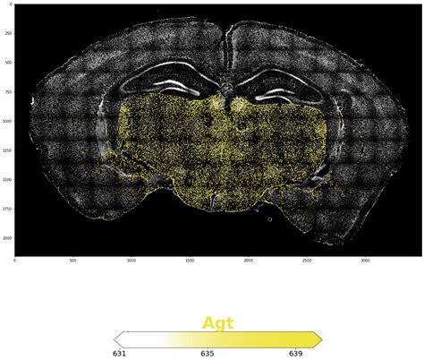Using Fullres Image In Scanpy Pl Spatial · Issue 1436 · Scverse Scanpy