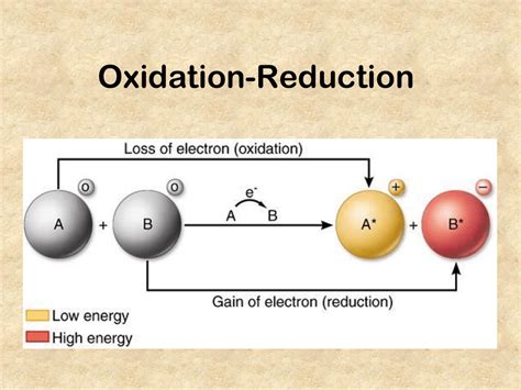 How Do Oxidation Reduction Reactions Work Printable Templates Protal